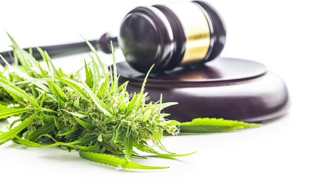 Florida's Cannabis Conundrum: A Historical Overview of Marijuana ...