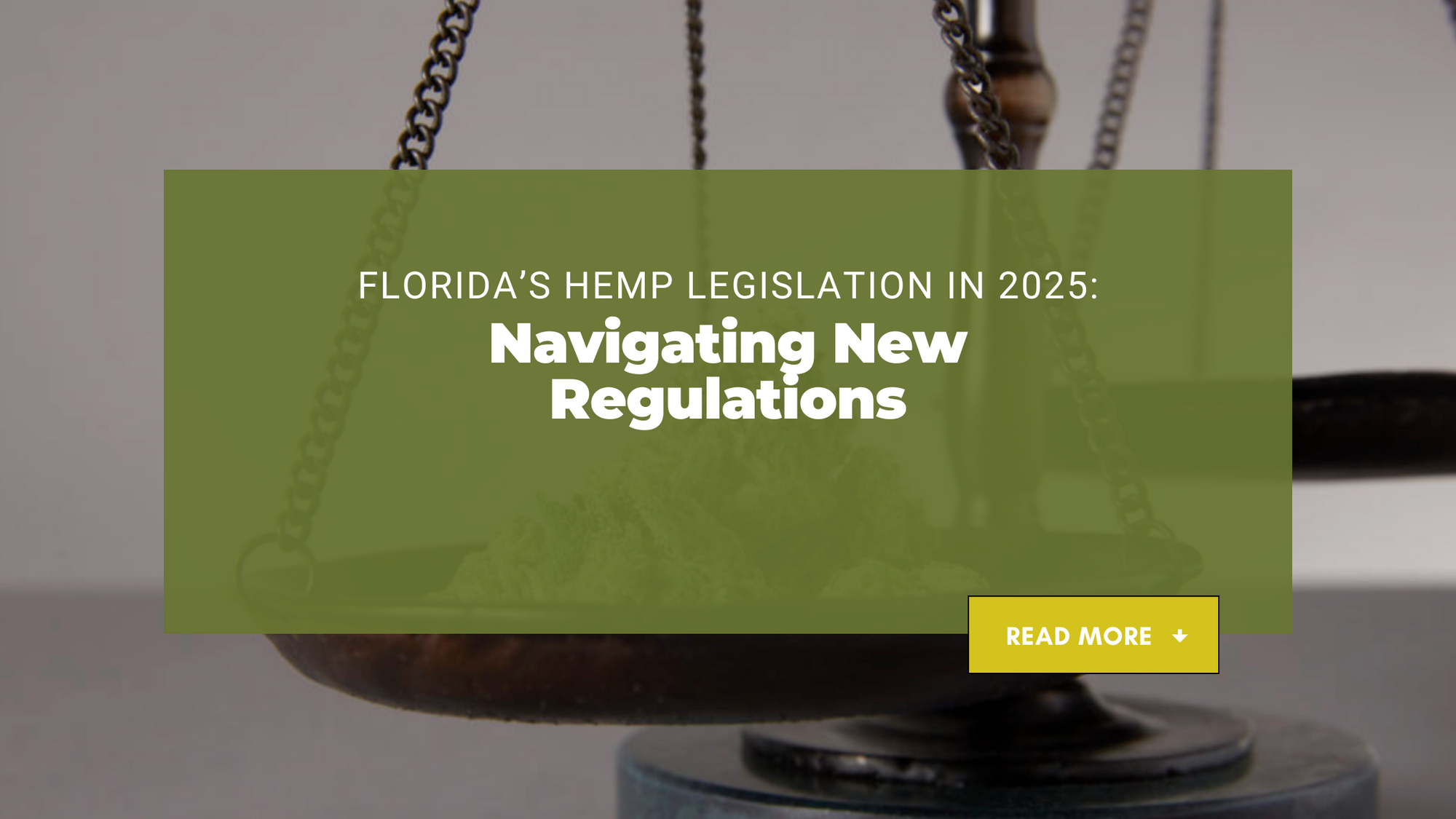 Florida Hemp and Medical Marijuana Legislation Updates for 2025 ...